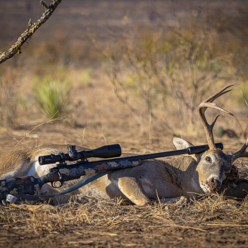 Hunting - Manners Composite Stocks